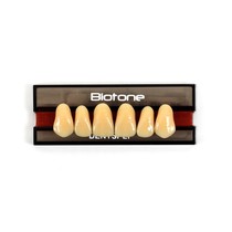Dente Biotone Anterior Superior Dentsply Sirona