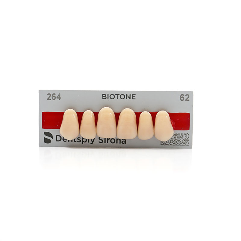 Dente Biotone Anterior Superior | Dental Cremer Produtos Odontológicos